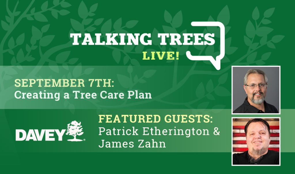 Talking Trees Live! with The Davey Tree Expert Co. - The Rock Father ...