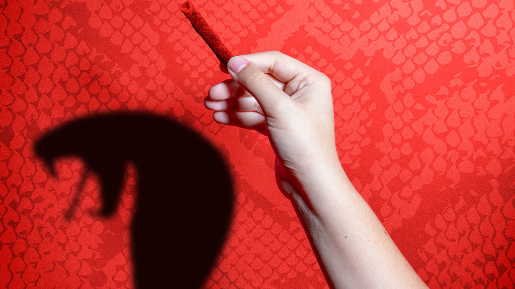 Takis Unleashes Cobra: A Chip with a Fiery Strike - The Rock Father ...